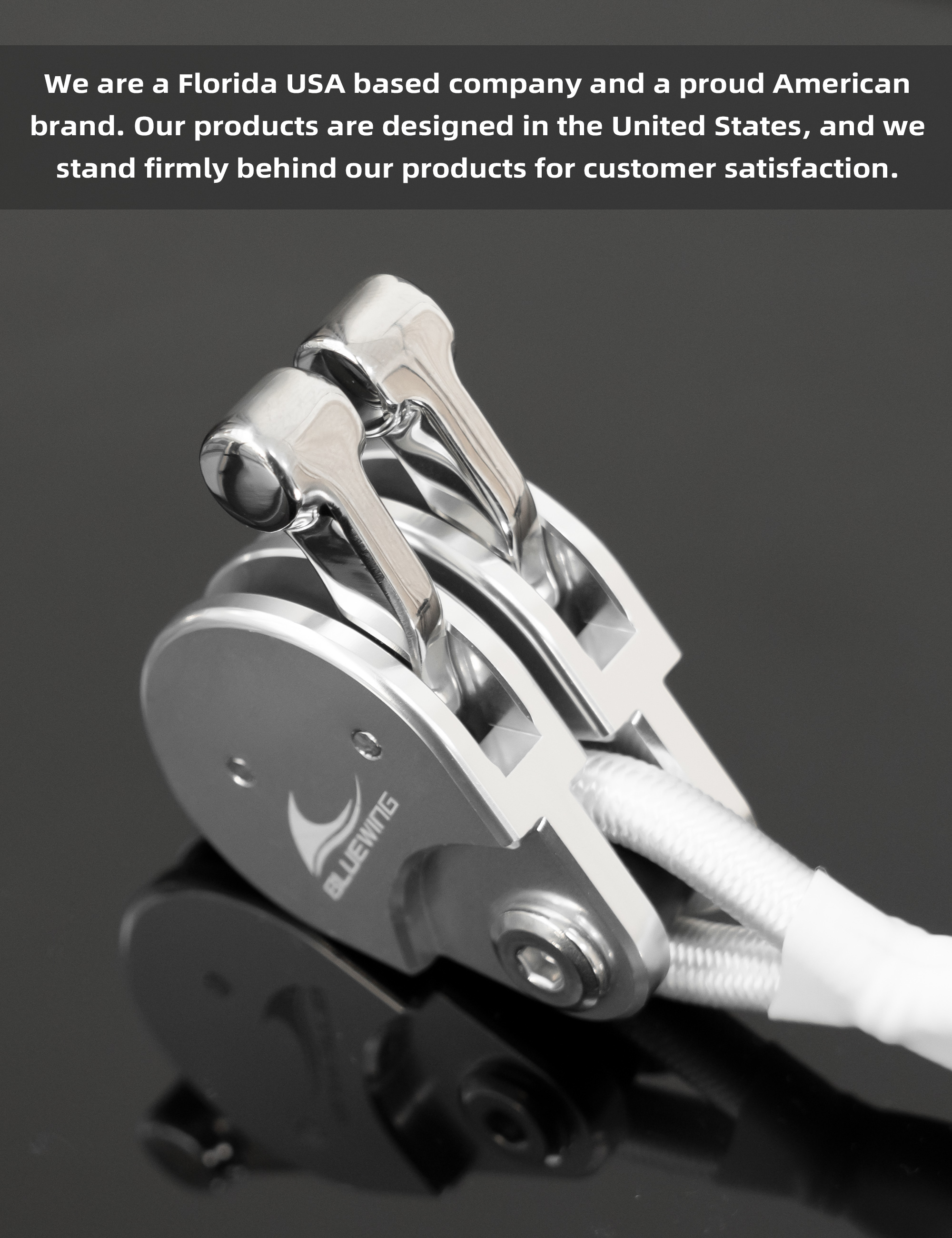 New! Blue Water Outrigger Line Lock Pulley | Bloodydecks